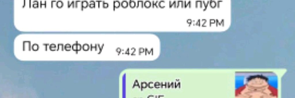 Кошка3005
