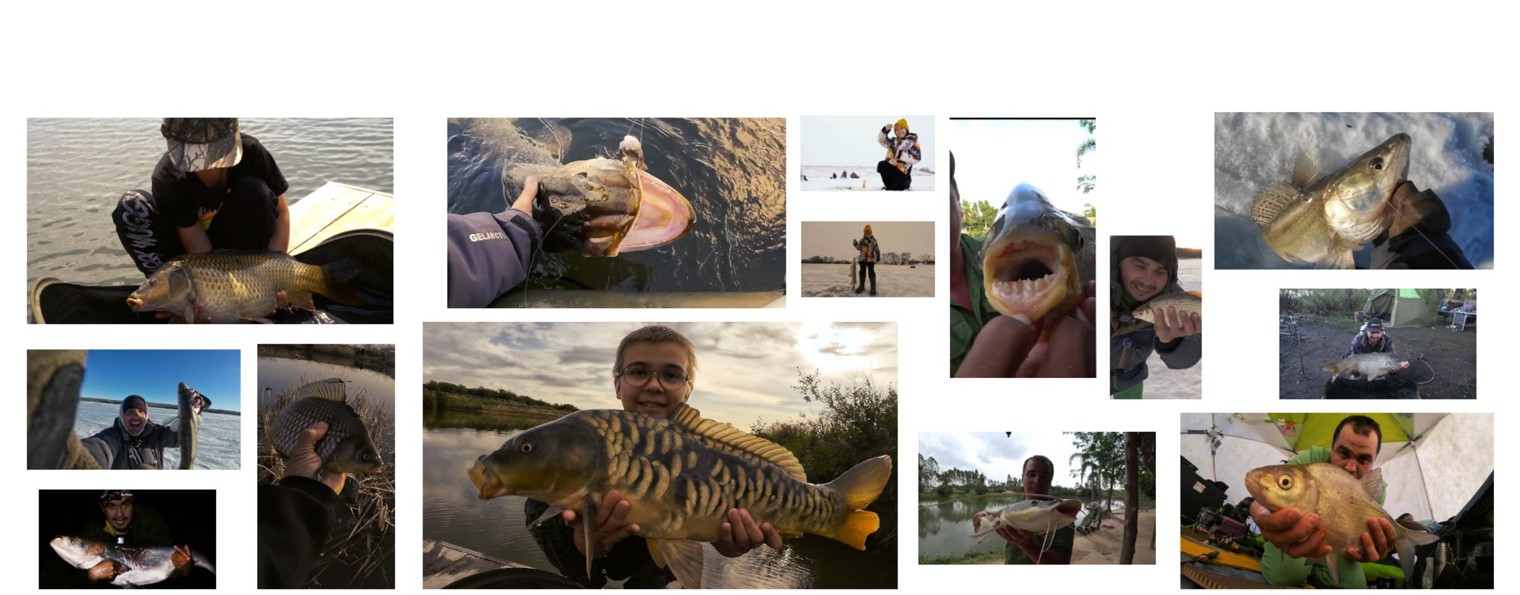 Дима рыбалка