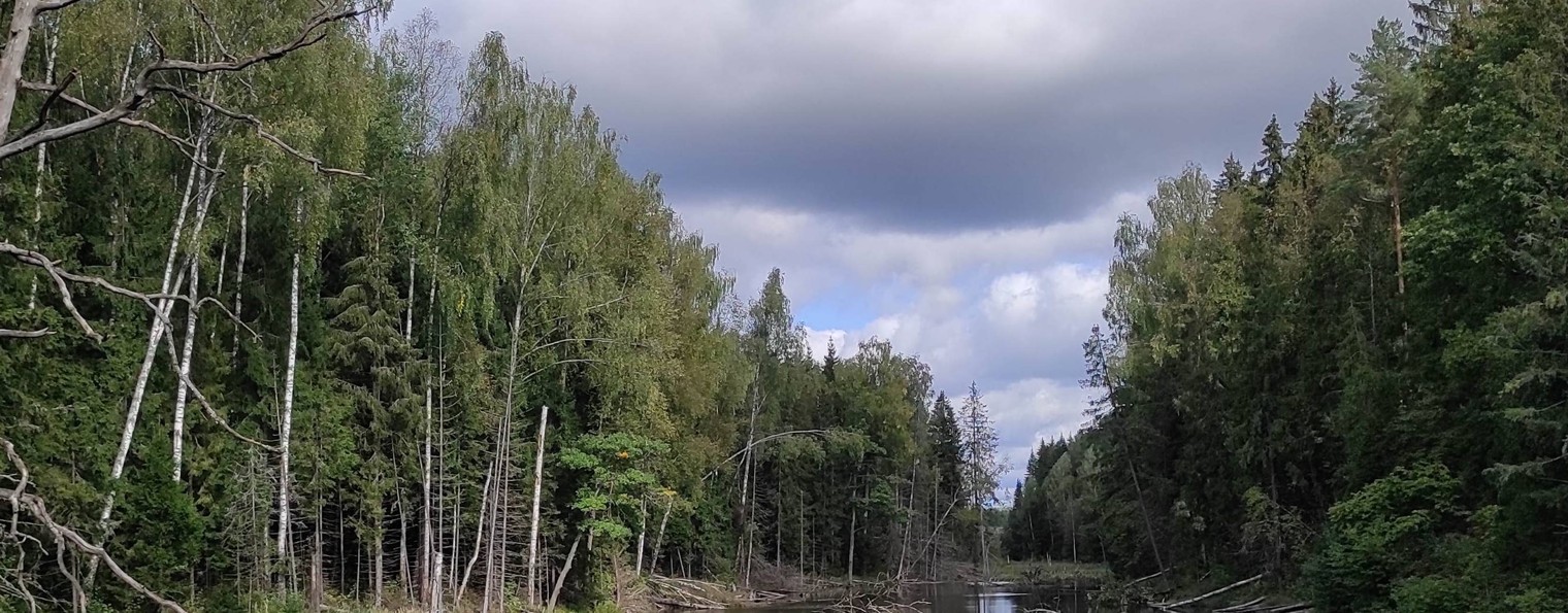 Занятой Путешественник