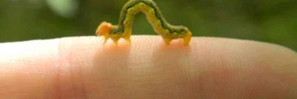 Ксюфка🌿🌱✨