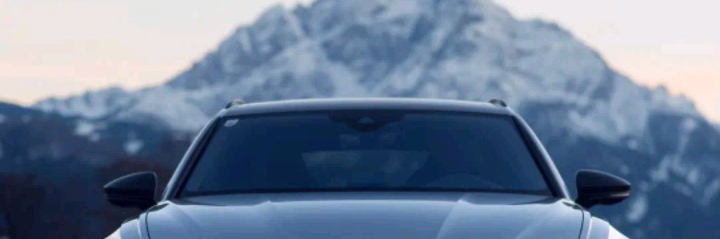 Играю в my summer car