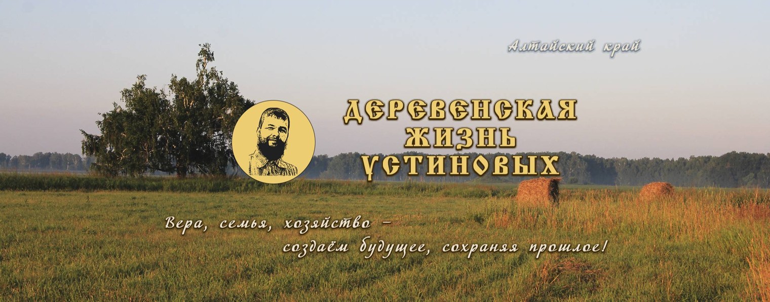 Деревенская жизнь Устиновых