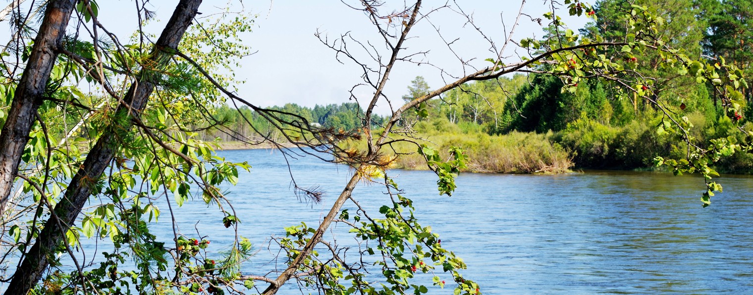 В отпуск с DJI mini 2