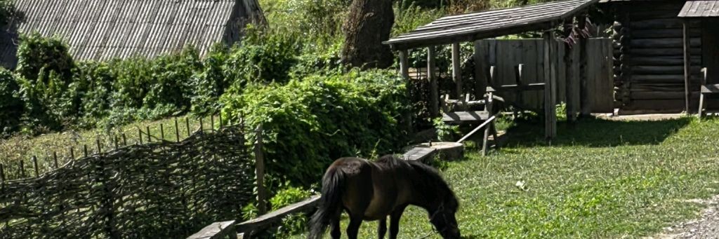 Вдохновение🌷