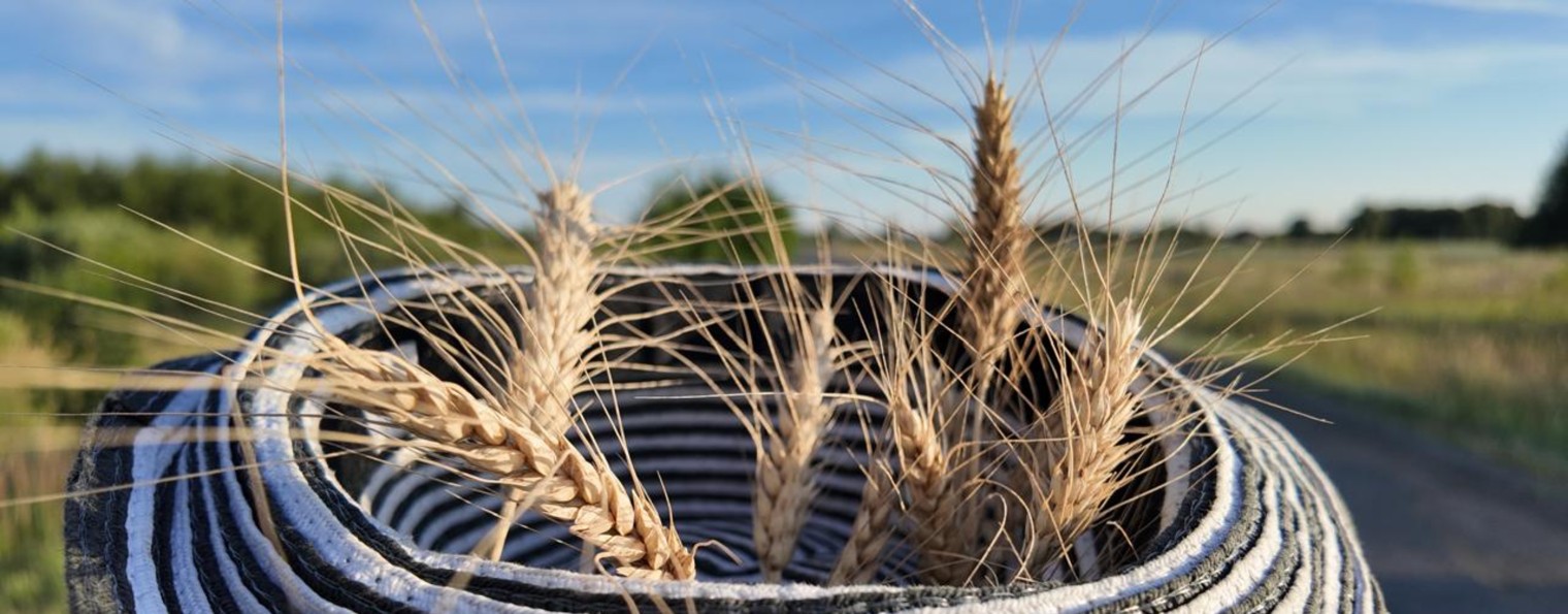 Старотатарская слобода
