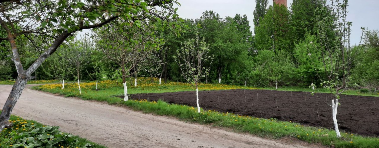 Домашние секреты 🪵🪴