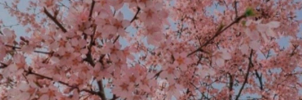 Гуруней здесь😎