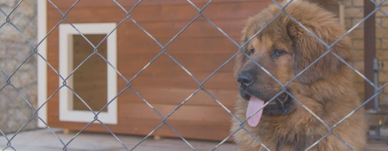 все-вольеры.рф