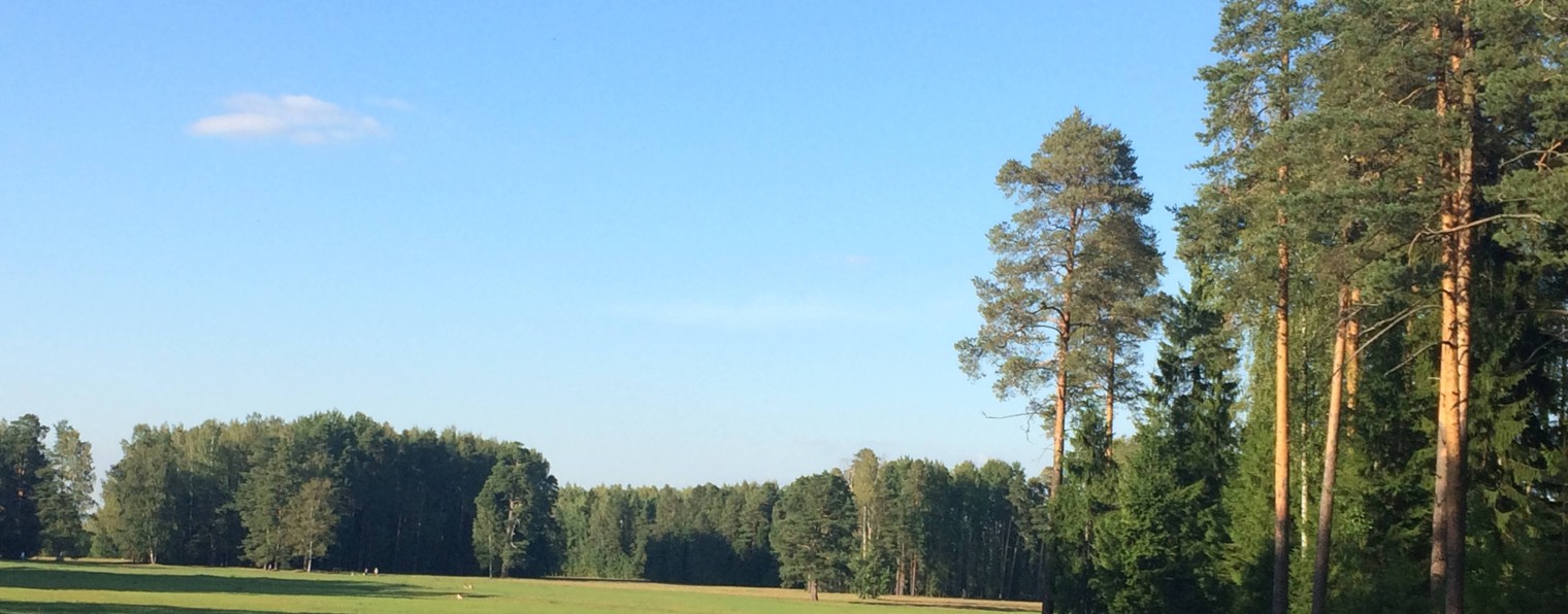 Прогулки по Санкт-Петербургу и России