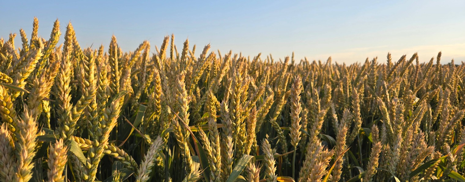 Литвинов Владимир