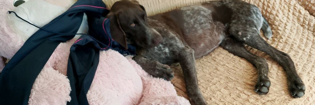 Синяя звезда