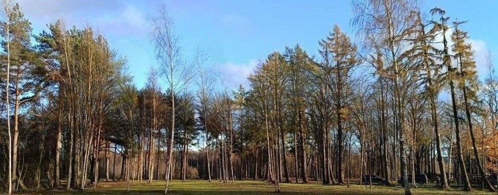 Недвижимость СПБ и Лен.обл; 8(904)612-9493