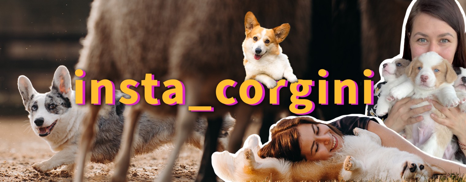 Милена Сеелен: всё о собаках и фермерстве