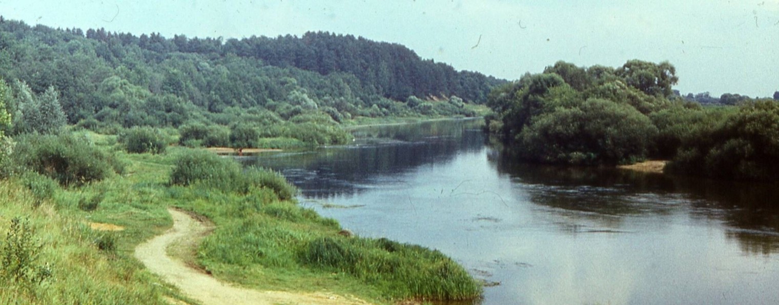 Нейроабдукция