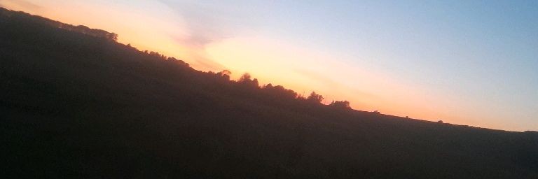 Весёлые видосики