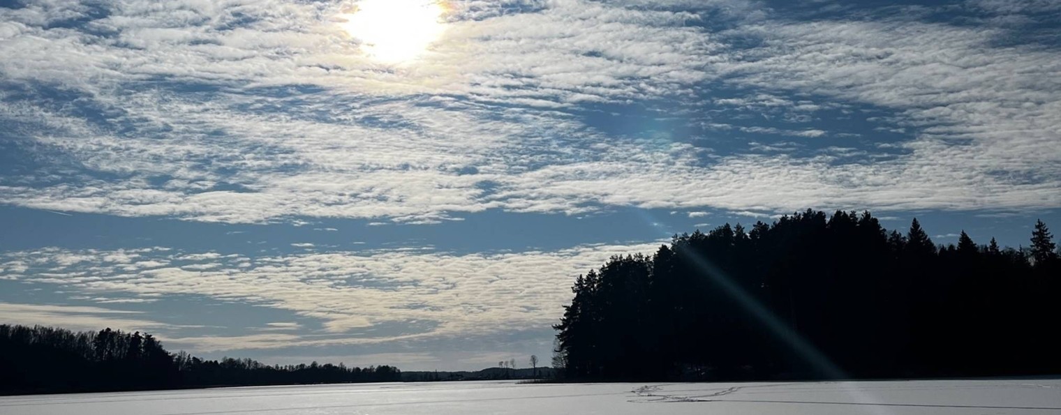 Хомяковы рыбаки