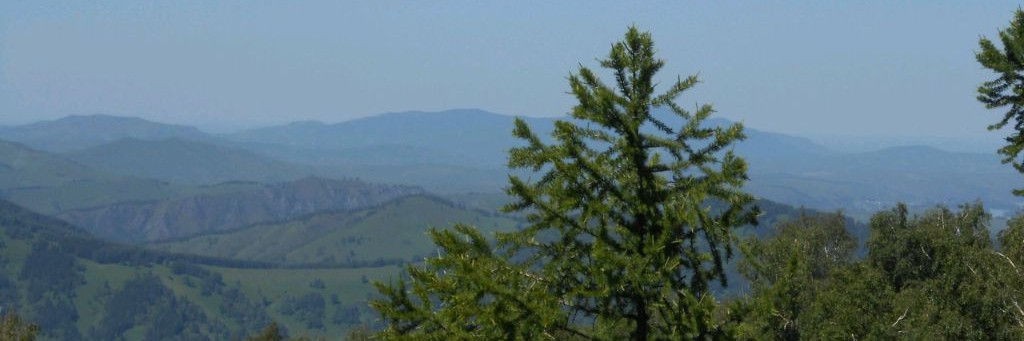 Español siempre a mano