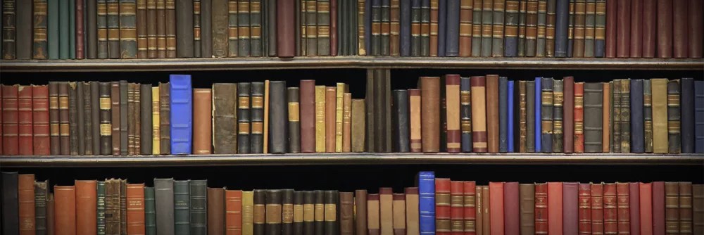 Девушка с книгами