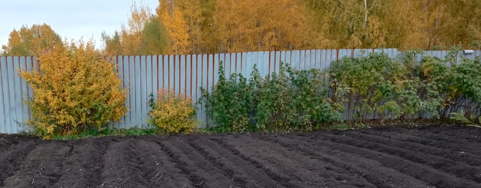 Огород Сибири