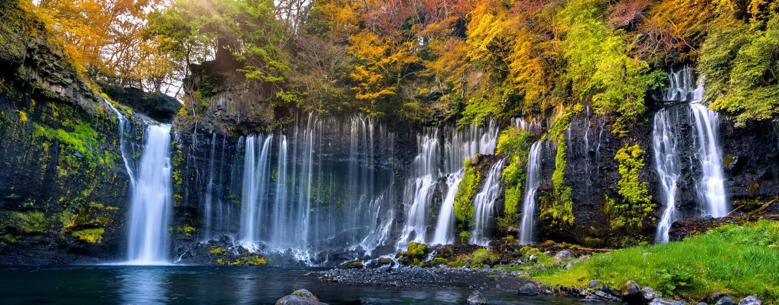 НАША ЖИЗНЬ С ПАТРИОТОМ И БЕЗ. 👍😊❤️
