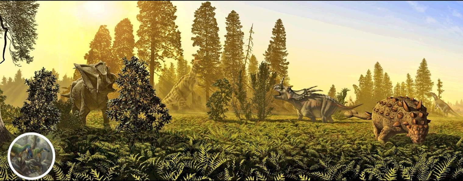 Палеонтолог (будущий)