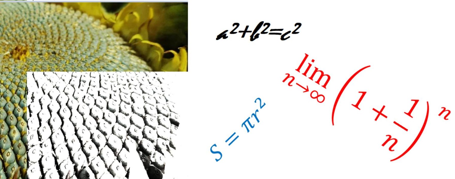 Геометрия ПРОСТО