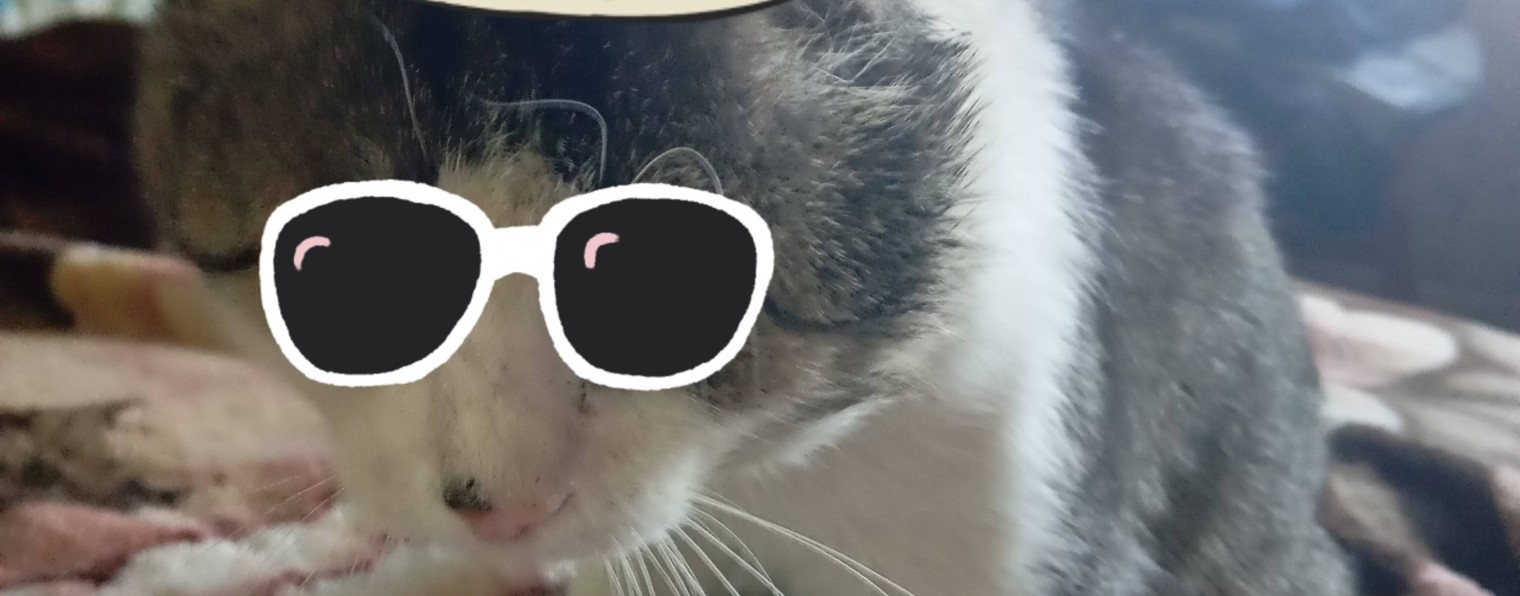 Подработка в интернете