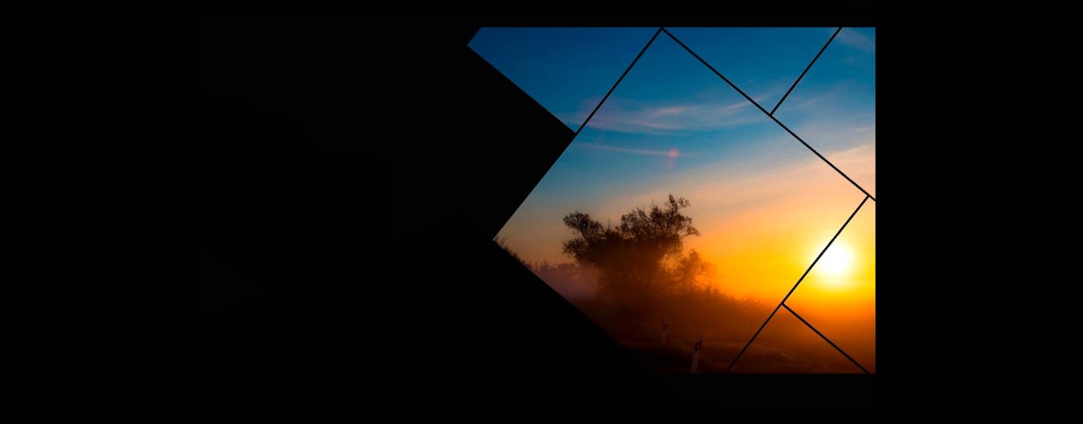 Видео БЕЛКА