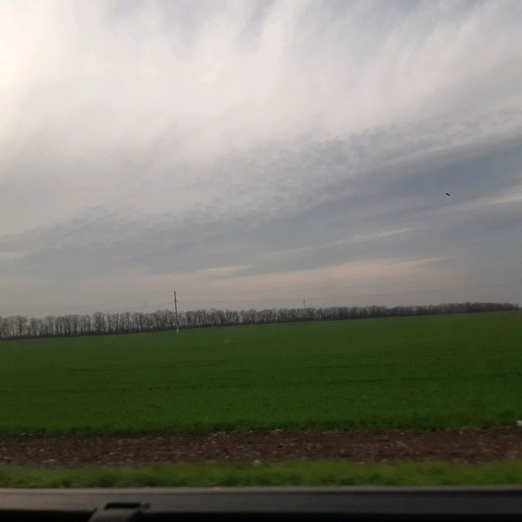 `Toca/Обустройство•