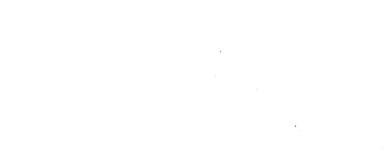 "Руские за МИР"