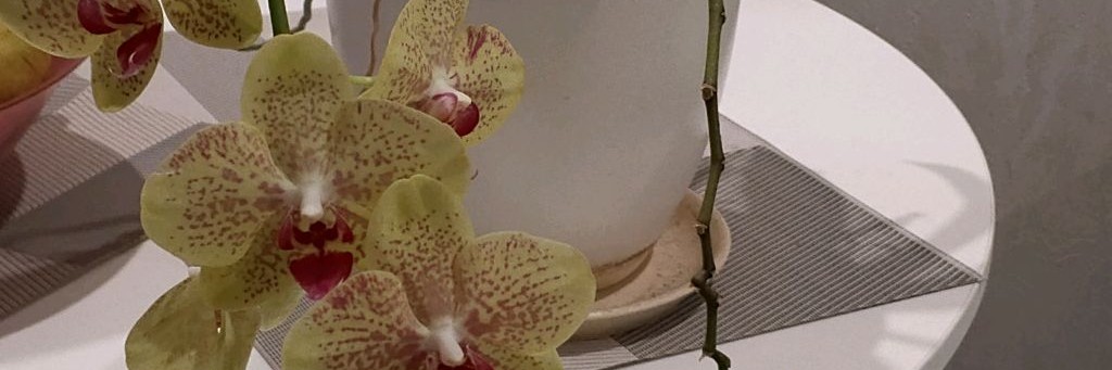 Дама с собачкой