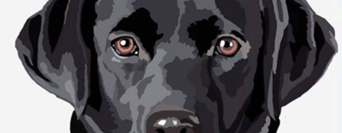 SIGMA    DOG