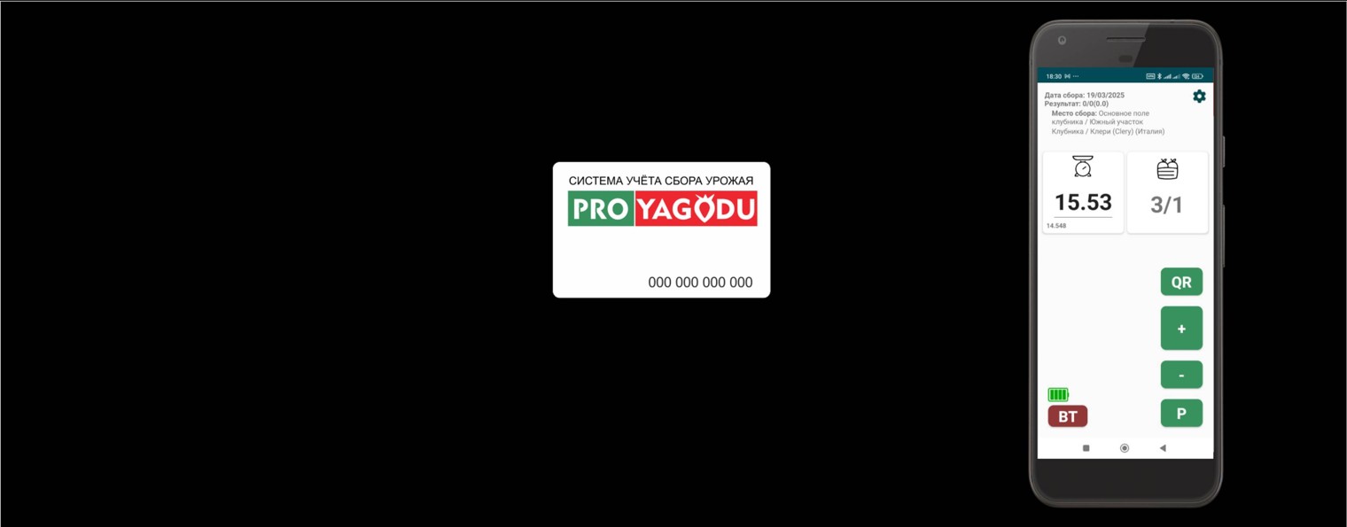ProYagodu.ru