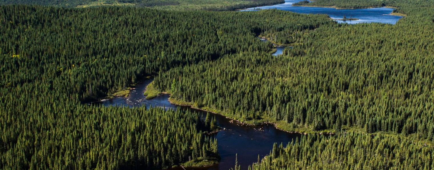 Олесь Петрович