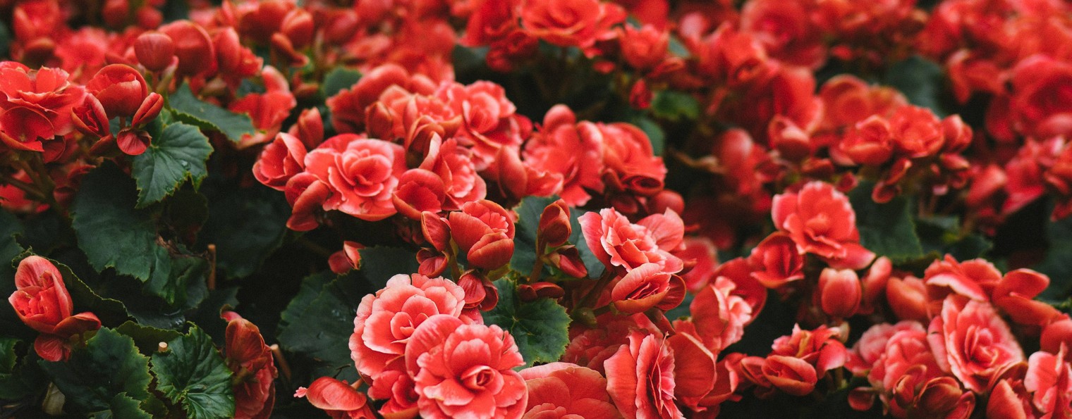 Варвара Острикова | КПТ-терапевт