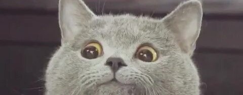 канал супер Дениса