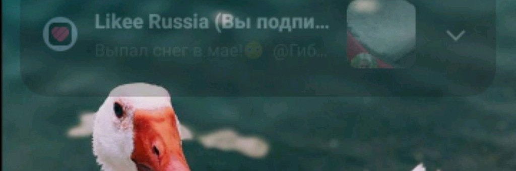 Соник Ехе