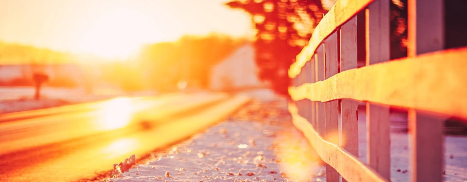 Дмитрий Бомонин