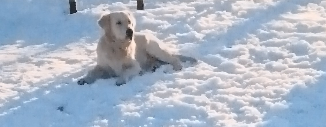 Каспер доброе привидение.