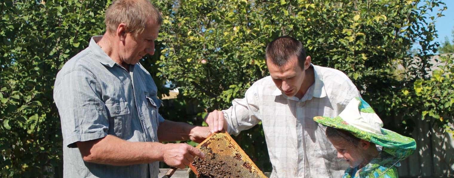 Александр Гузеев. Пасека "Зелёный Клин"