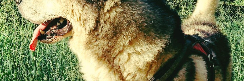 Иван Кузьмин