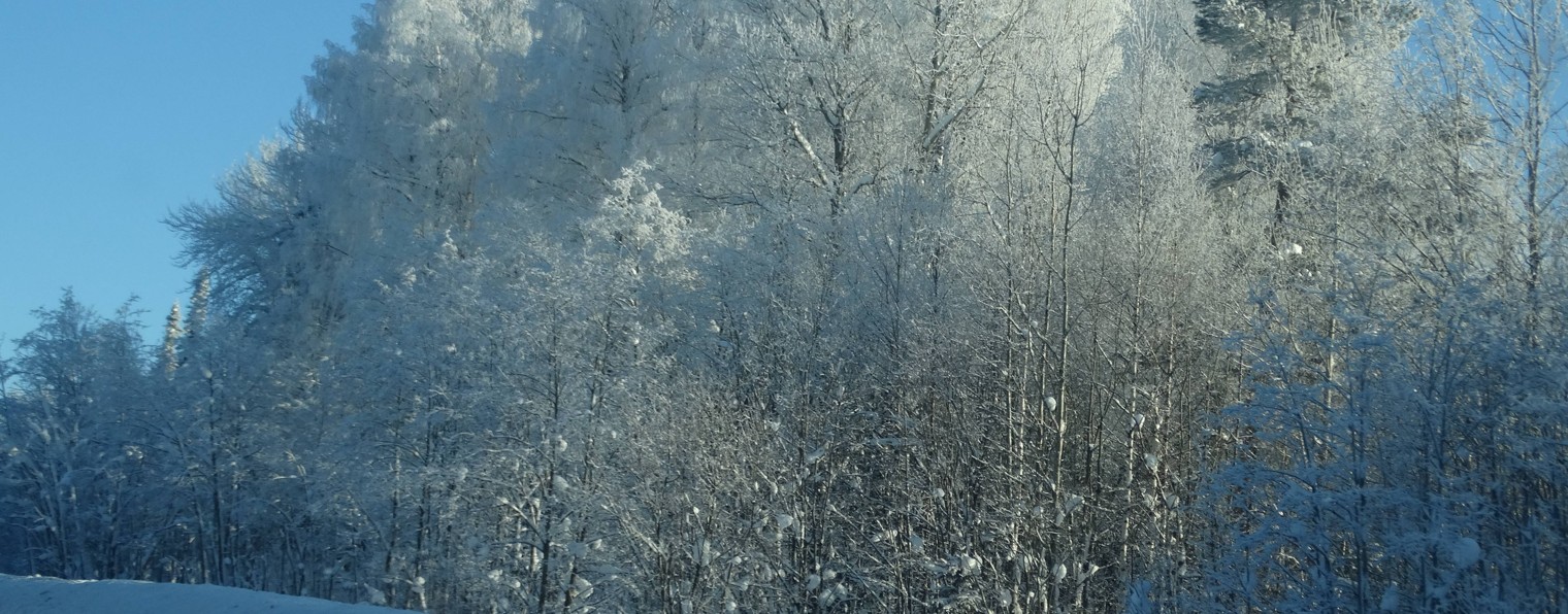 Твори Добро.