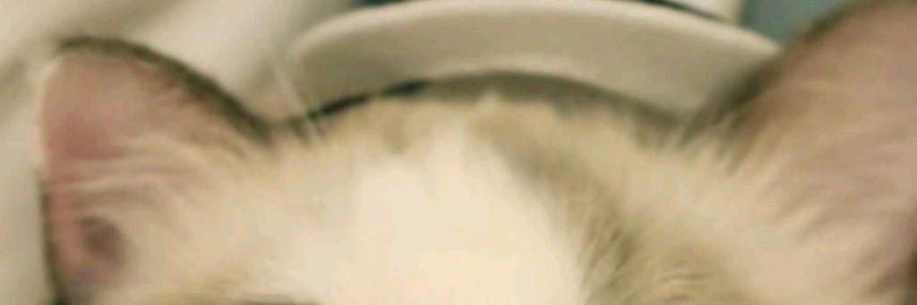 Тёма И Маша