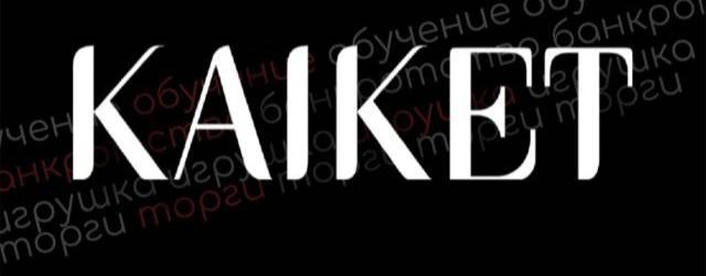KAIKET: Торги и Автобизнес.