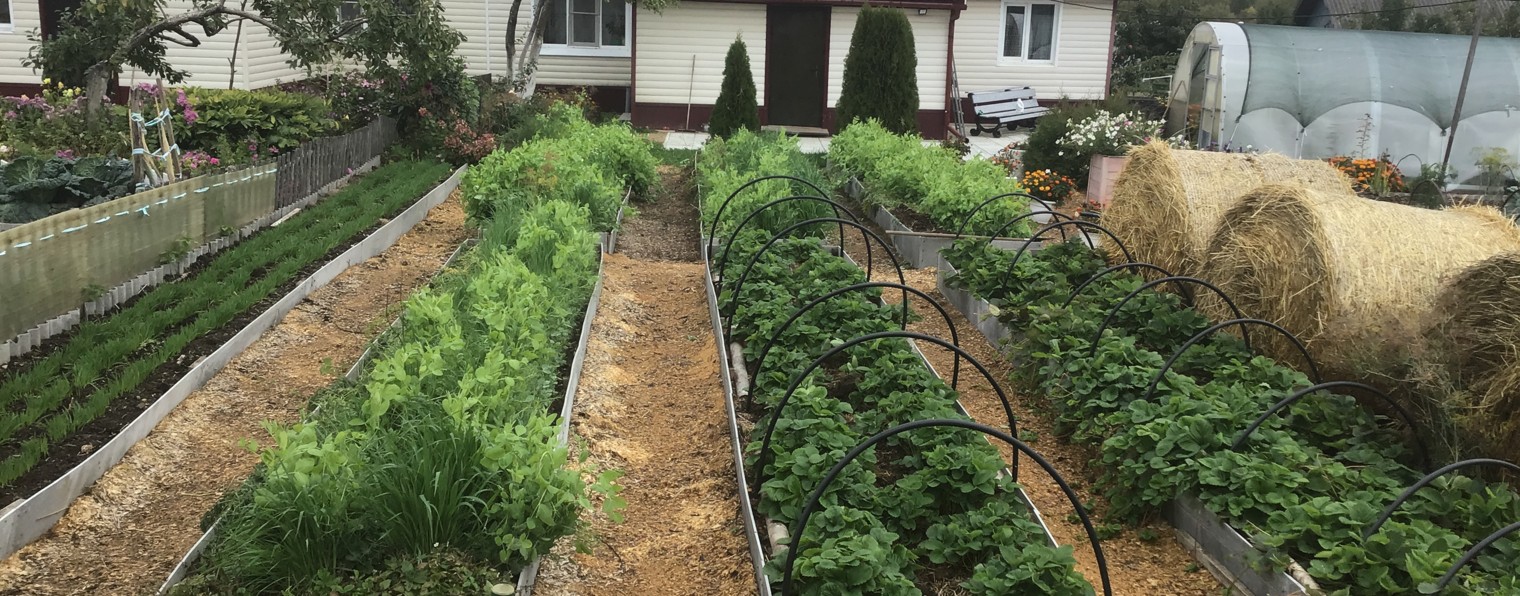 Рядом с городом