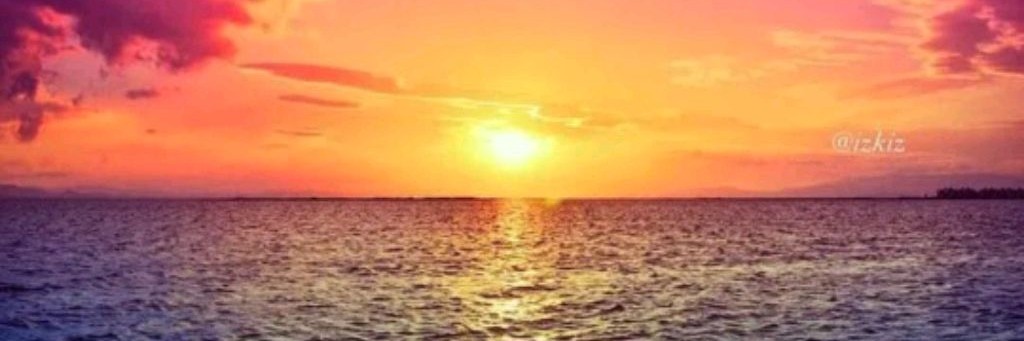 Арина Аксалотик