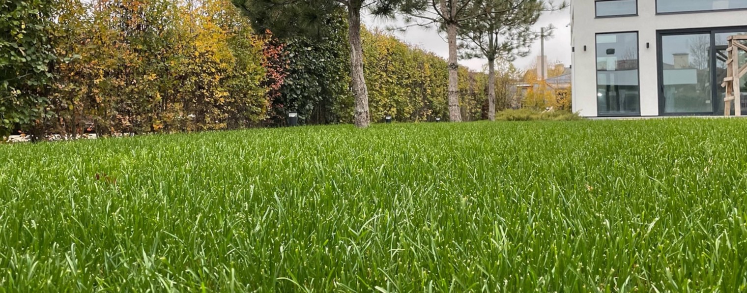 Трава и точка