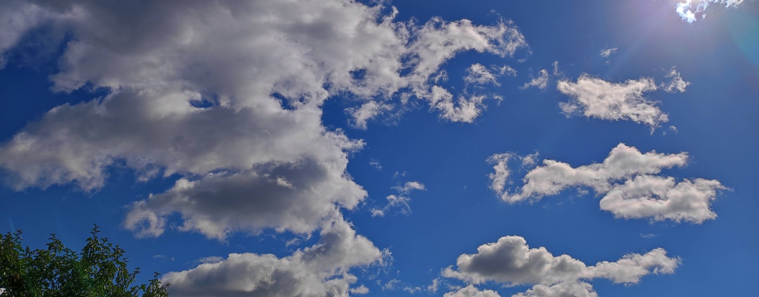 Моя любимая дача