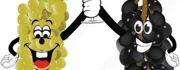 Vinogradinki🍇🍇🍇