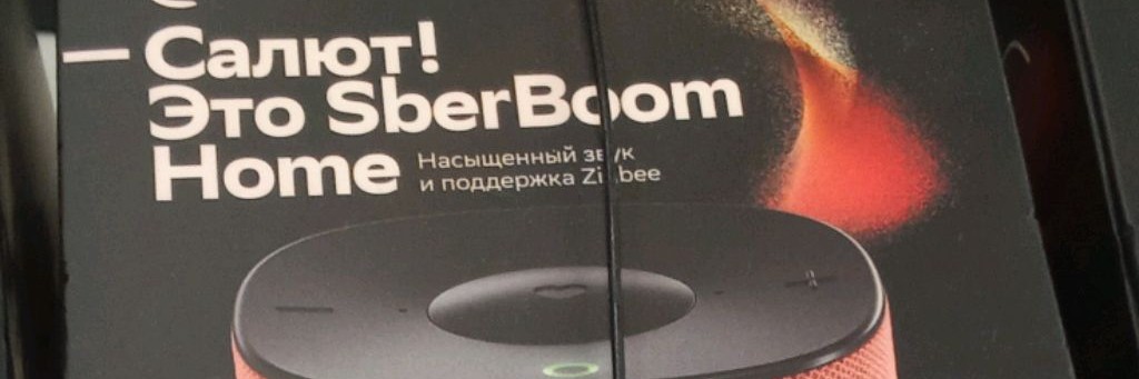 STALKER 2517